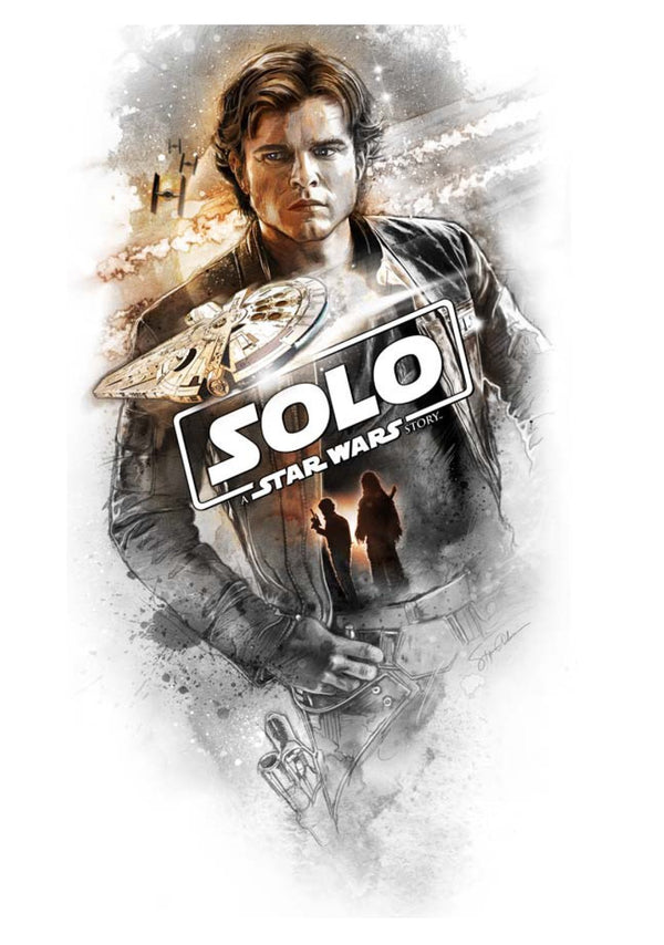 Flying Solo - Pulse Gallery