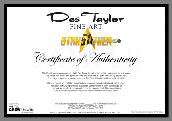 Captain Castro - Pulse Gallery